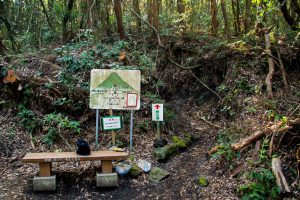 Hiking Mount Kaimon » SIMONE ARMER