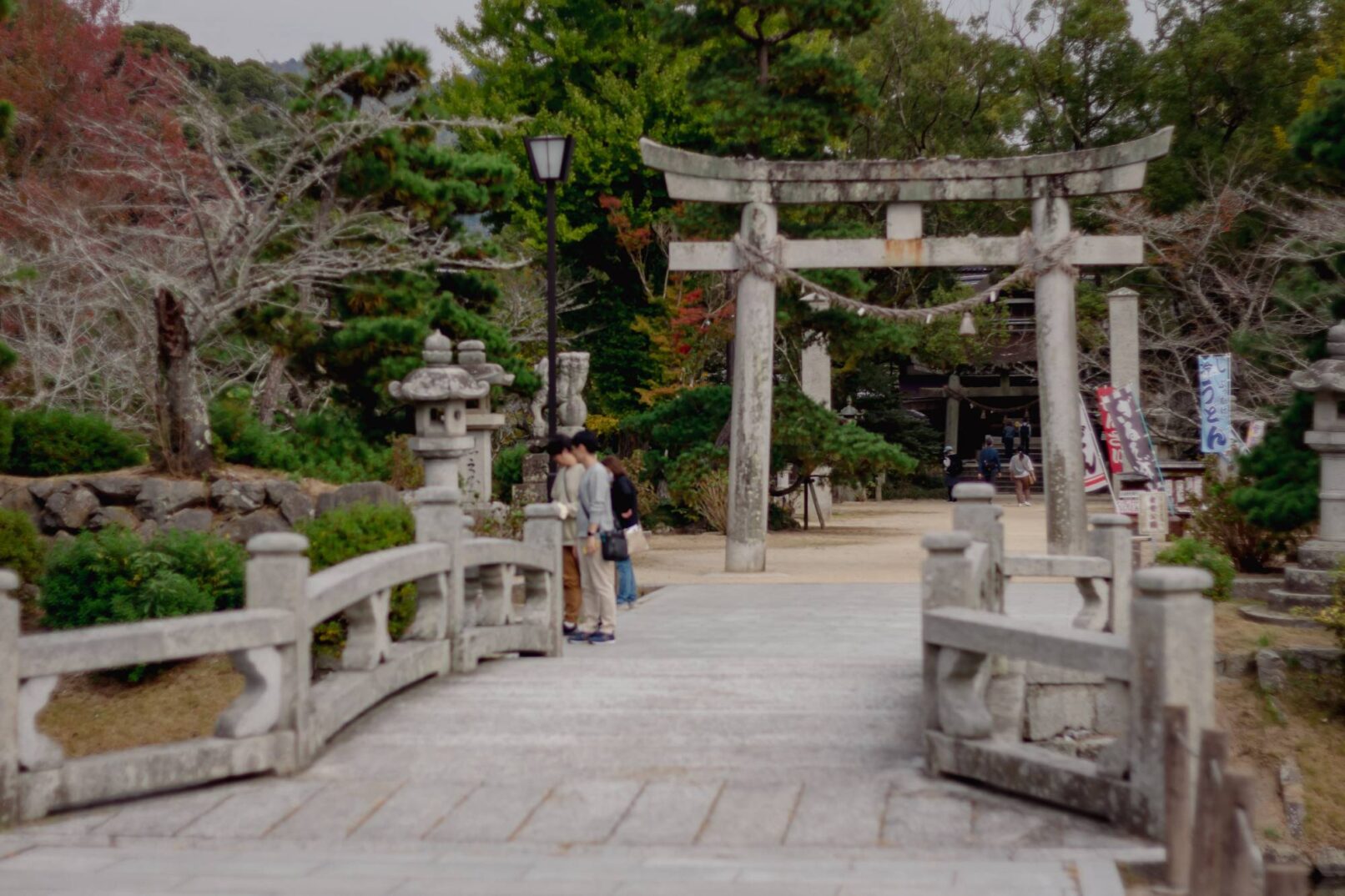 Exploring Kikko Park » SIMONE ARMER