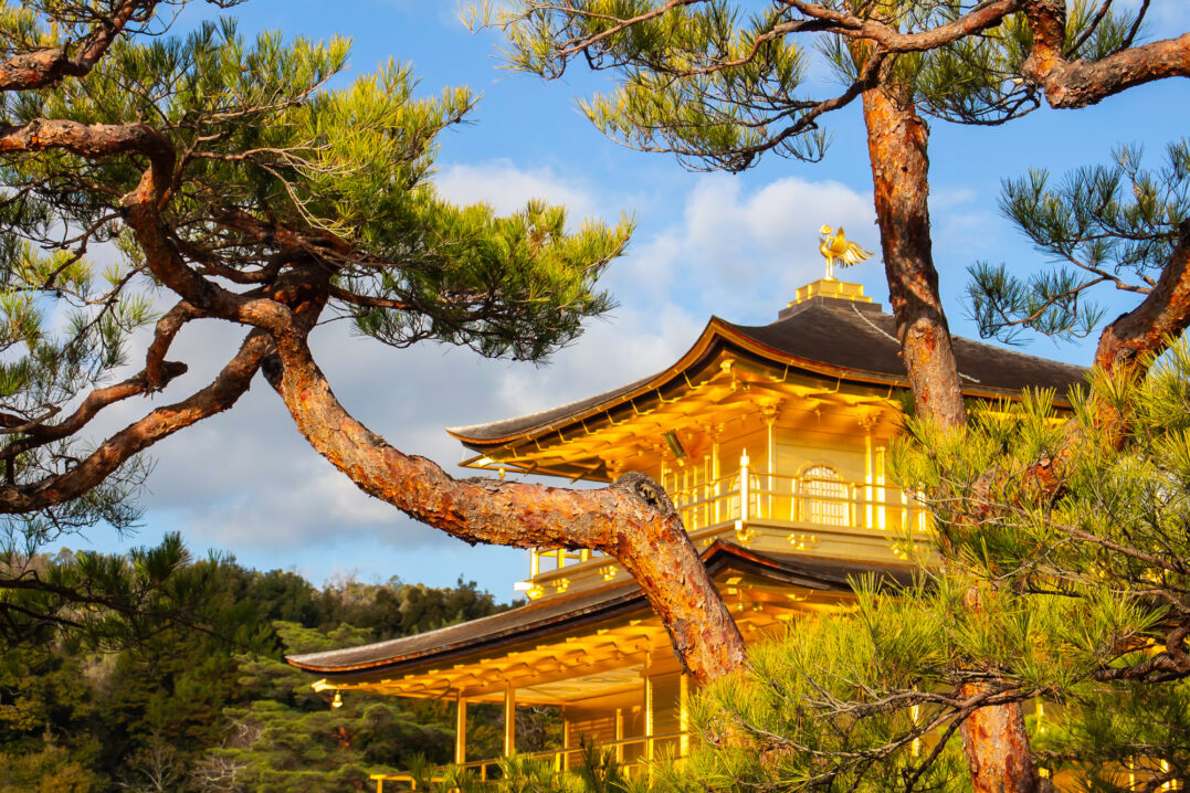 Kinkakuji: The Golden Pavilion » SIMONE ARMER